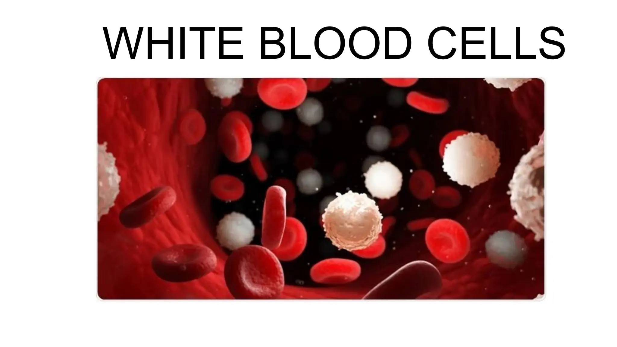 The blood. Pictograms, images and sentences | PPT
