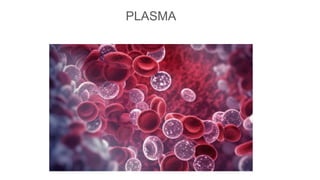 The blood. Pictograms, images and sentences | PPT