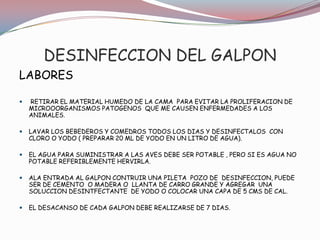 Copia de capacitacion de gallinas ponedpras instalaciones | PPTX