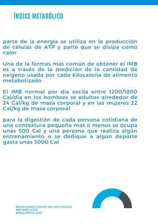moléculas claves en los cruces metabólicos | PDF