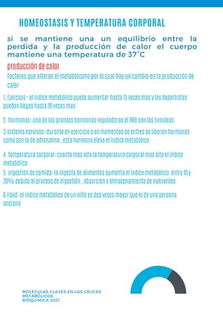 moléculas claves en los cruces metabólicos | PDF