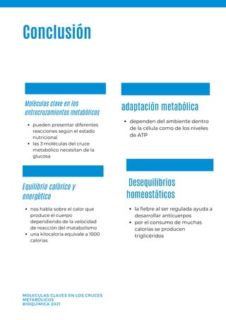 moléculas claves en los cruces metabólicos | PDF