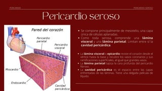 Anatomía general de corazón y pericardio | PDF