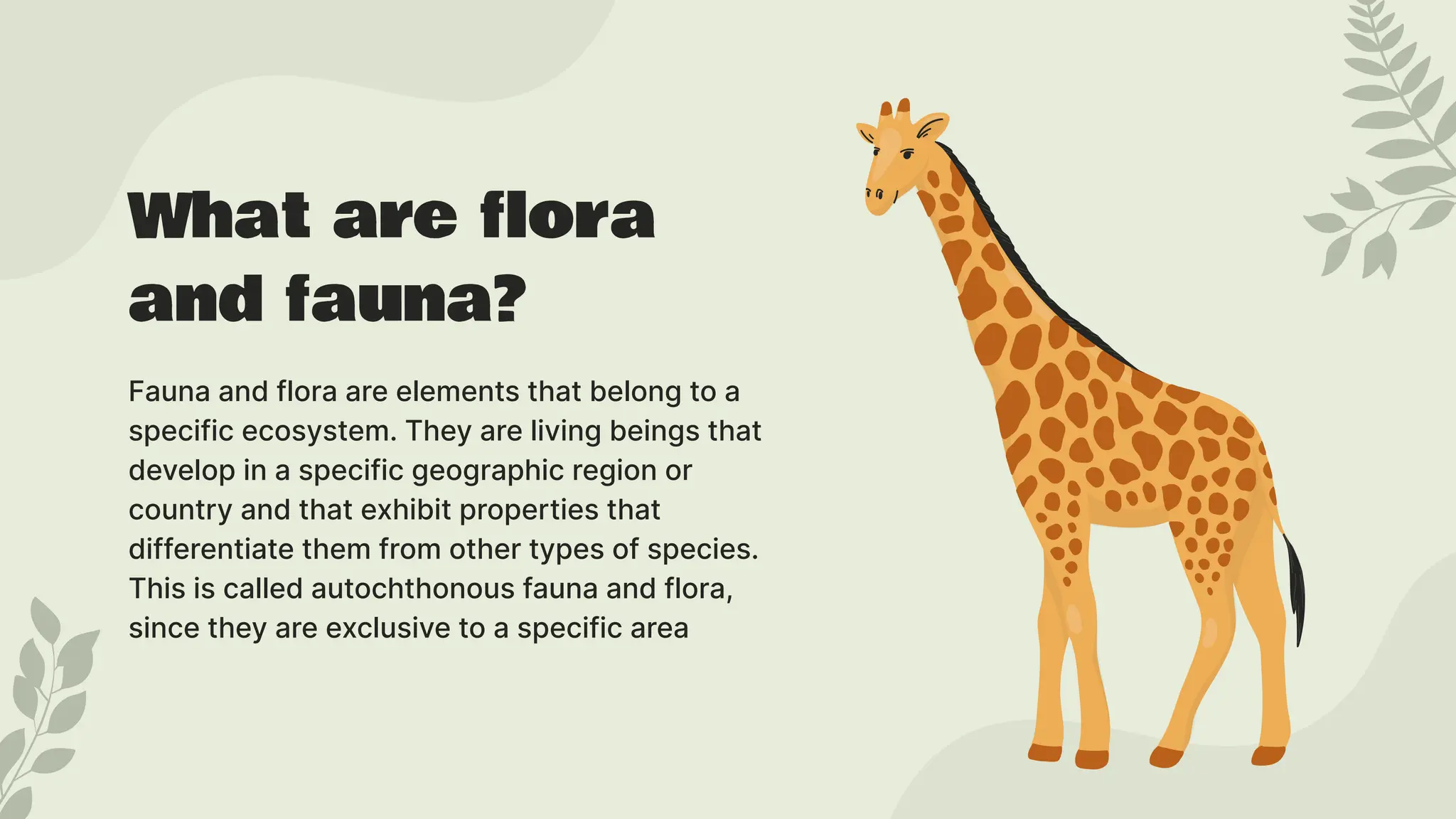 Copia de EN - Flora and Fauna_ What Are They_ by Slidesgo.pdf