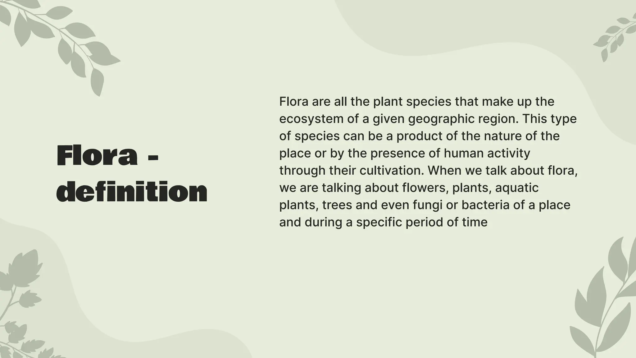 Copia de EN - Flora and Fauna_ What Are They_ by Slidesgo.pdf