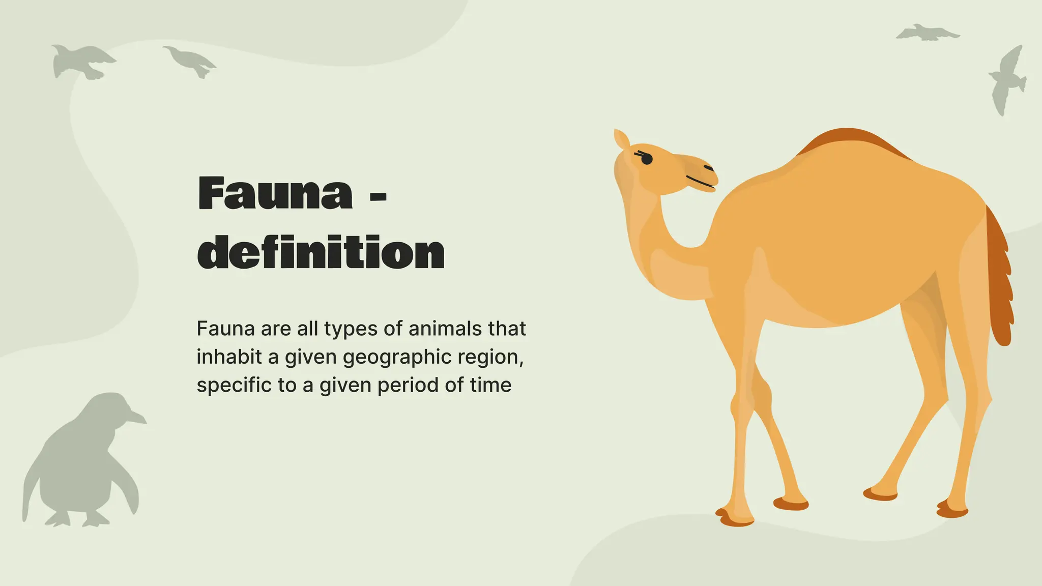 Copia de EN - Flora and Fauna_ What Are They_ by Slidesgo.pdf