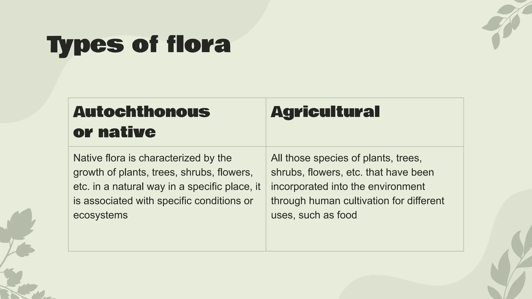 Copia de EN - Flora and Fauna_ What Are They_ by Slidesgo.pdf