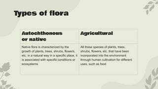Copia de EN - Flora and Fauna_ What Are They_ by Slidesgo.pdf