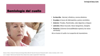 Examen Fisico Cabeza Y cuello | PPTX