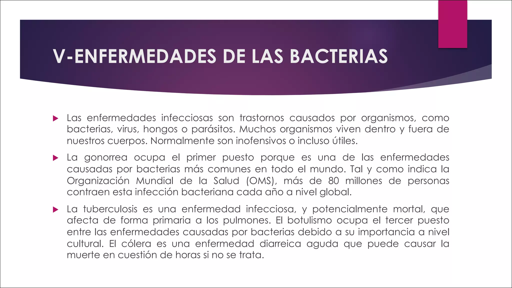 La evolución de las bacterias- proyecto de ciencias | PDF | Biological ...
