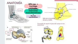 Fractura de retropié traumatología y ortopedia.pptx