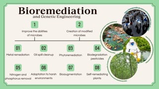 Genetic engineering and environment presentation | PDF