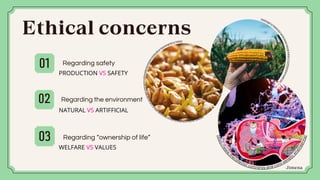 Genetic engineering and environment presentation | PDF