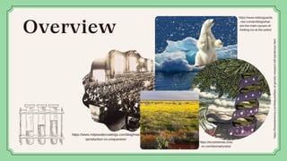 Genetic engineering and environment presentation | PDF