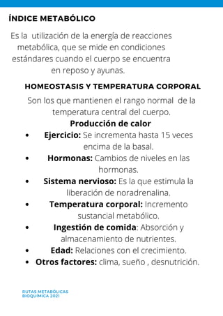 Moléculas clave en los entrecruzamientos metabólicos | PDF