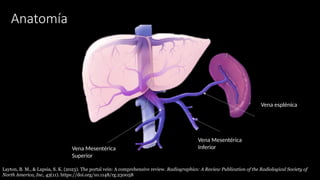 La vena porta patologia. .pptx