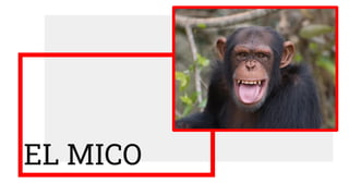 el mico | PPT
