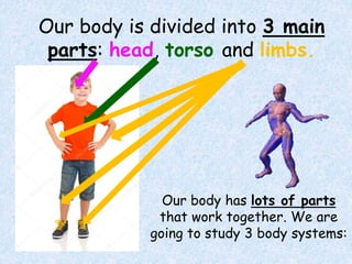 BODY SYSTEMS AND 5 SENSES | PPTX