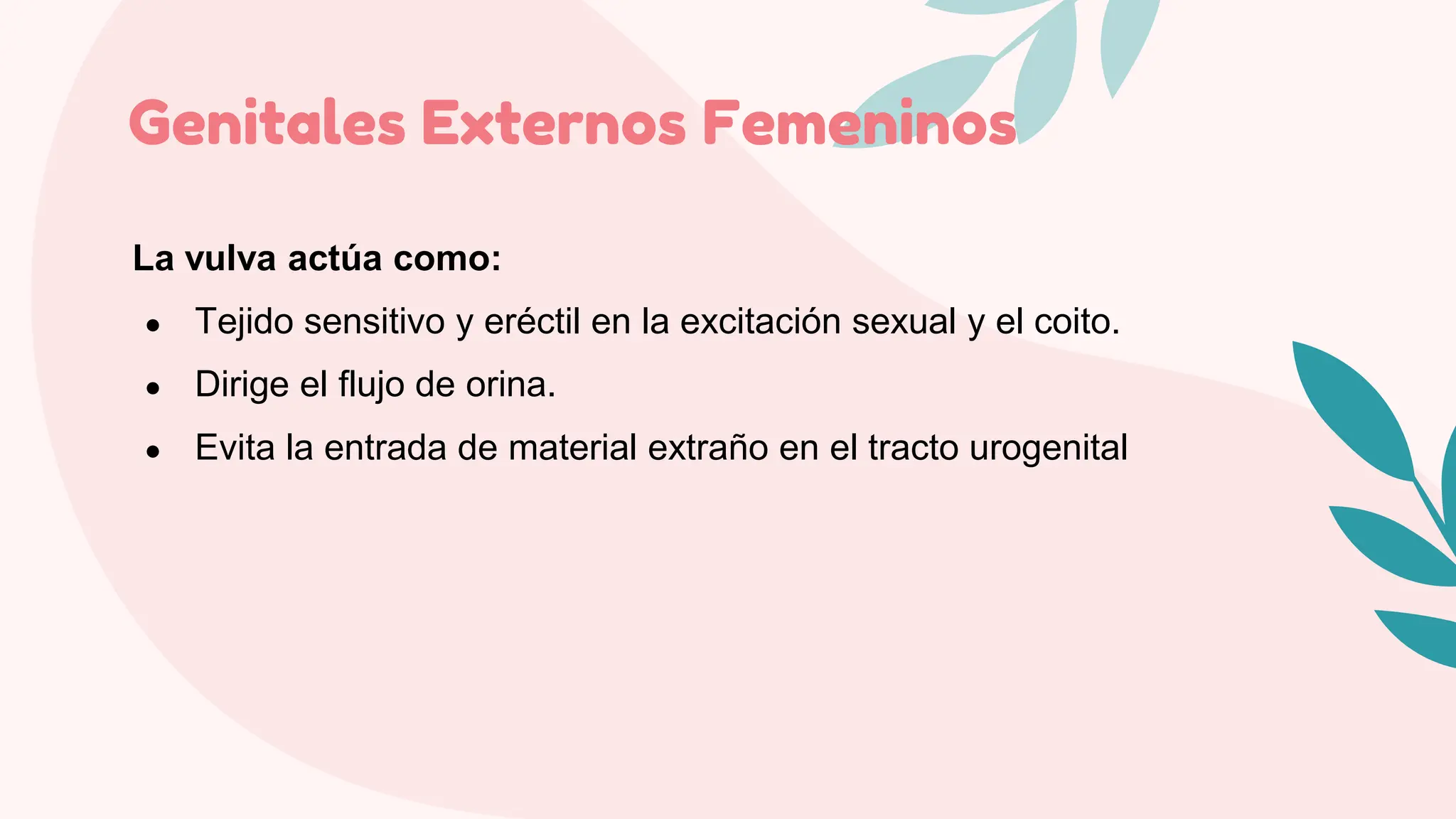 Las Estructuras Genitales Externas Son El Monte De Venus Los Labios Mayores Los Labios Menores