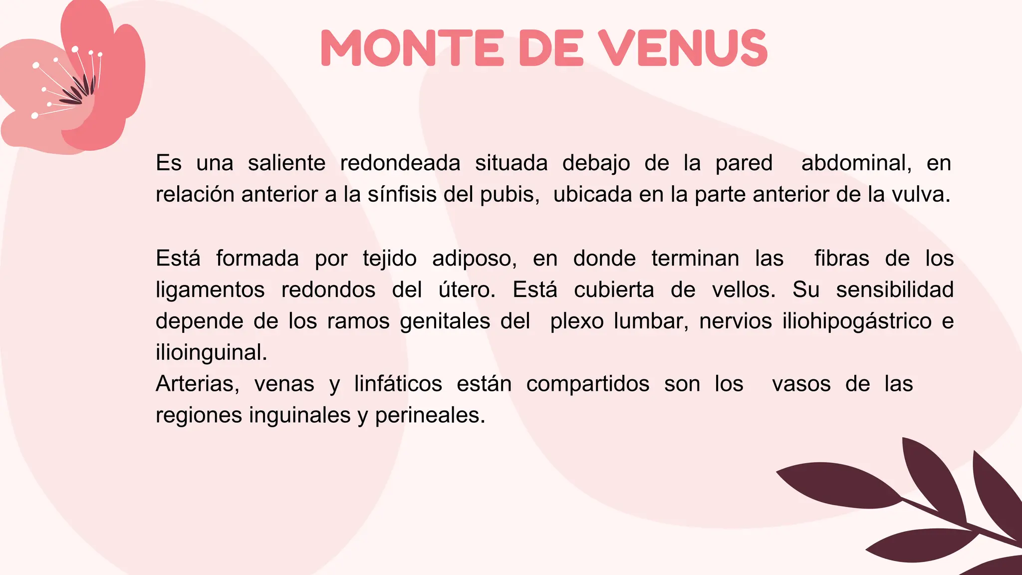 Las Estructuras Genitales Externas Son El Monte De Venus Los Labios Mayores Los Labios Menores