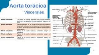 Arterias, Venas y Nervios del Torax completo | PDF