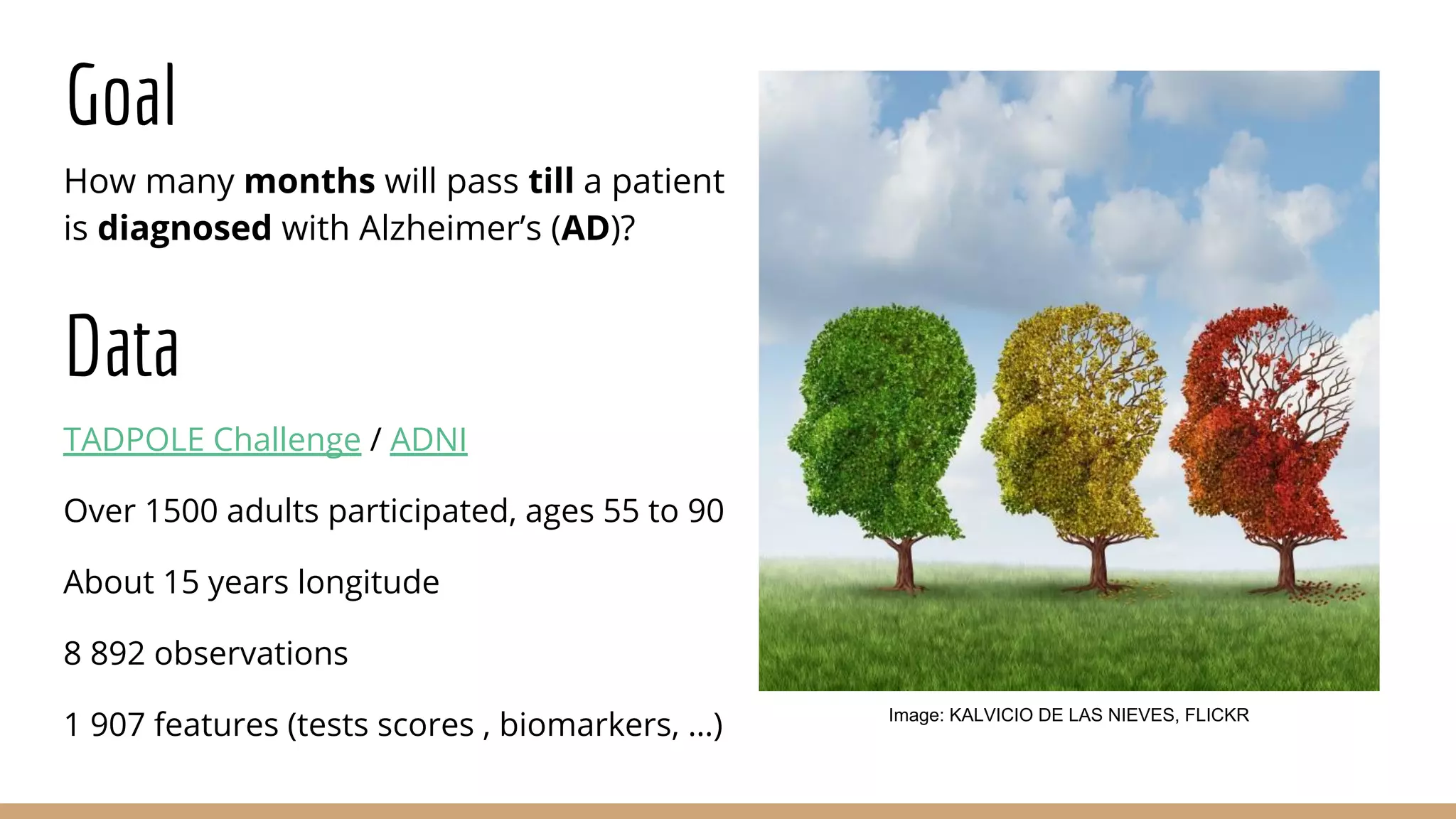 Alzheimer's disease prediction (2) | PDF