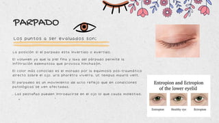 EXAMEN FISICO DE CABEZA Y FONDO DE OJO INSPECCION | PDF