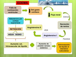 SEMIOLOGÍA DE LOS PRINCIPALES SIGNOS Y SÍNTOMAS DE ENFERMEDAD ...