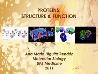 PROTEINS, STRUCTURE AND FUNCTION | PPT