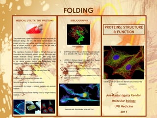 PROTEINS, STRUCTURE AND FUNCTION | PPT