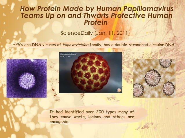 Proteins, Structure & Function | PPT
