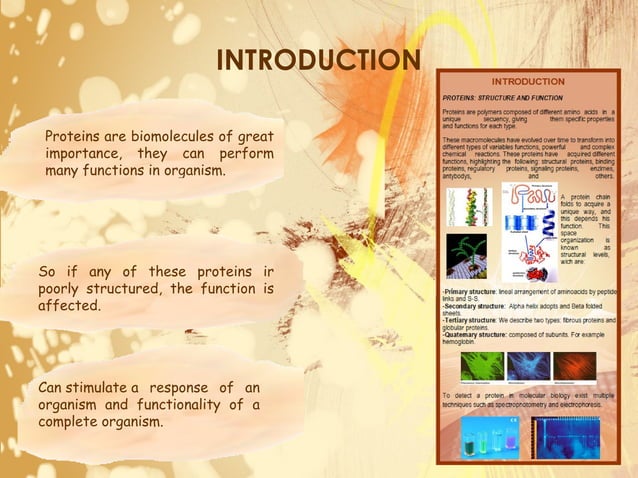 Proteins, Structure & Function | PPT