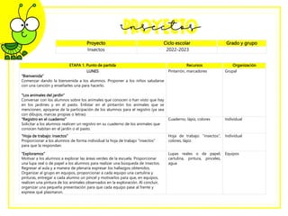 Proyecto INSECTOS segundo grado de educación preescolar .pptx