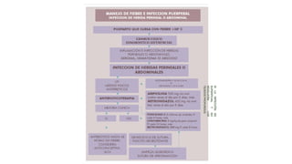 SEPSIS OBSTETRICA Y CLAVE AMARILLA - PATOLOGIA OBSTETRICA | PDF