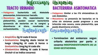 SEPSIS OBSTETRICA Y CLAVE AMARILLA - PATOLOGIA OBSTETRICA | PDF
