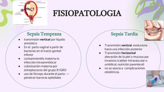 SEPSIS NEONATAL | PPTX