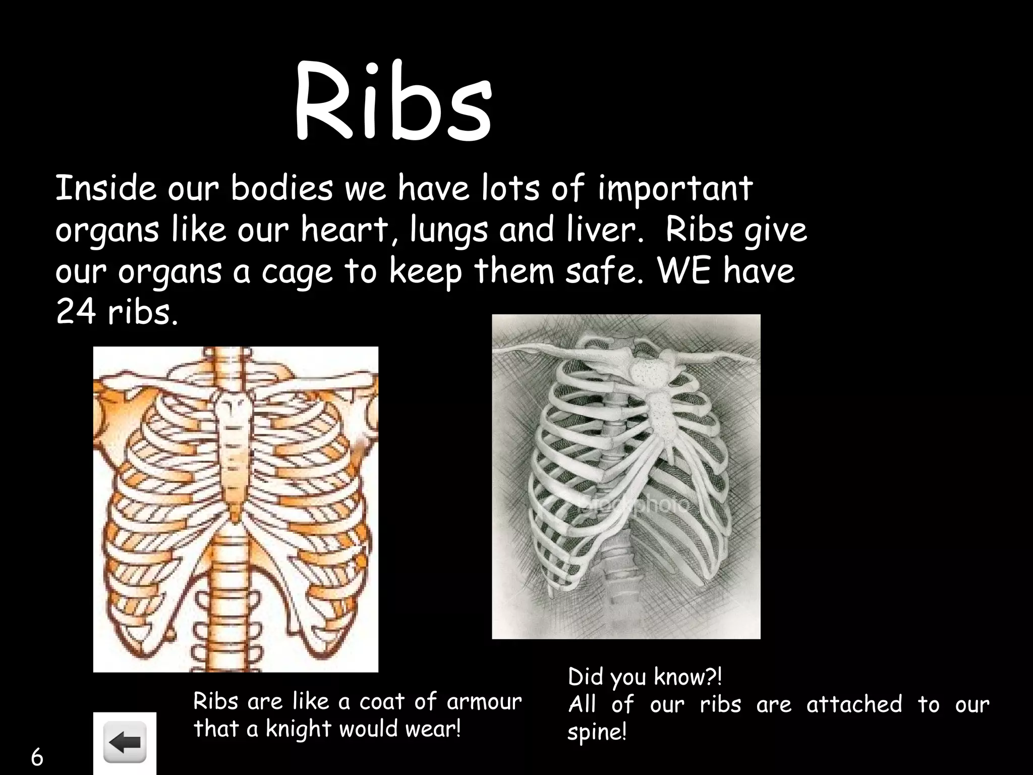 Skeleton and bones | PPT
