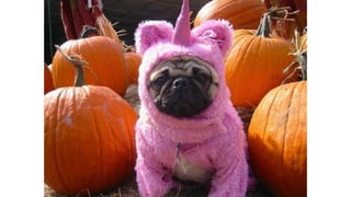 powerpoint karaoke | PDF