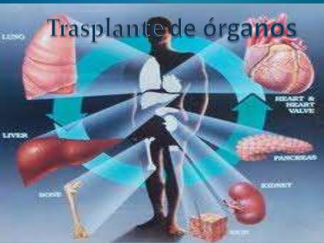 Trasplante De órganos