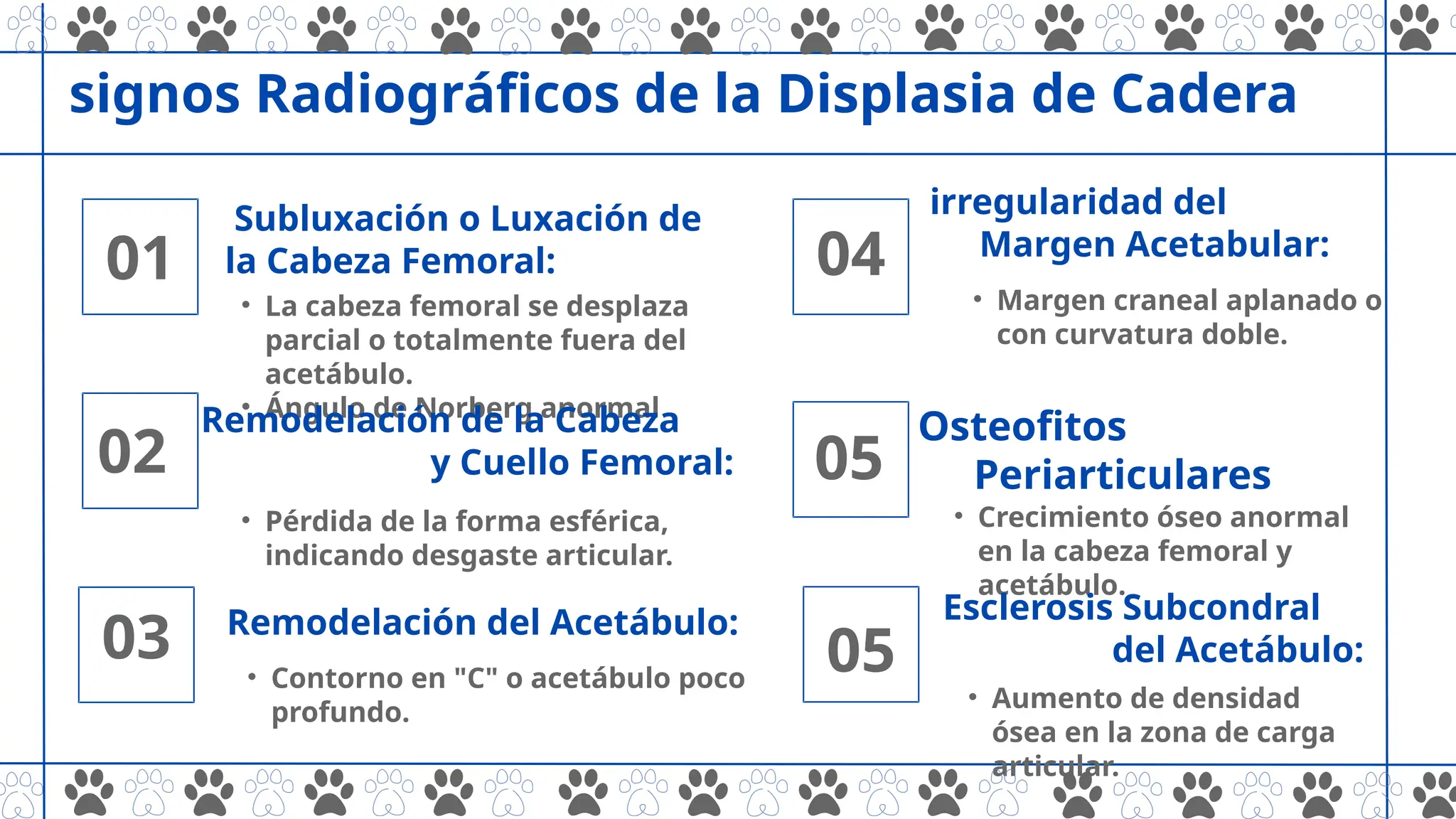 radiología veterinaria nomenclatura.pptx.pptx