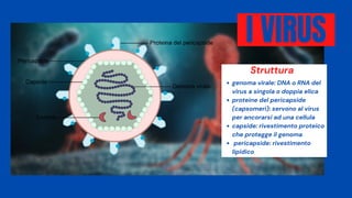 virus.pdf