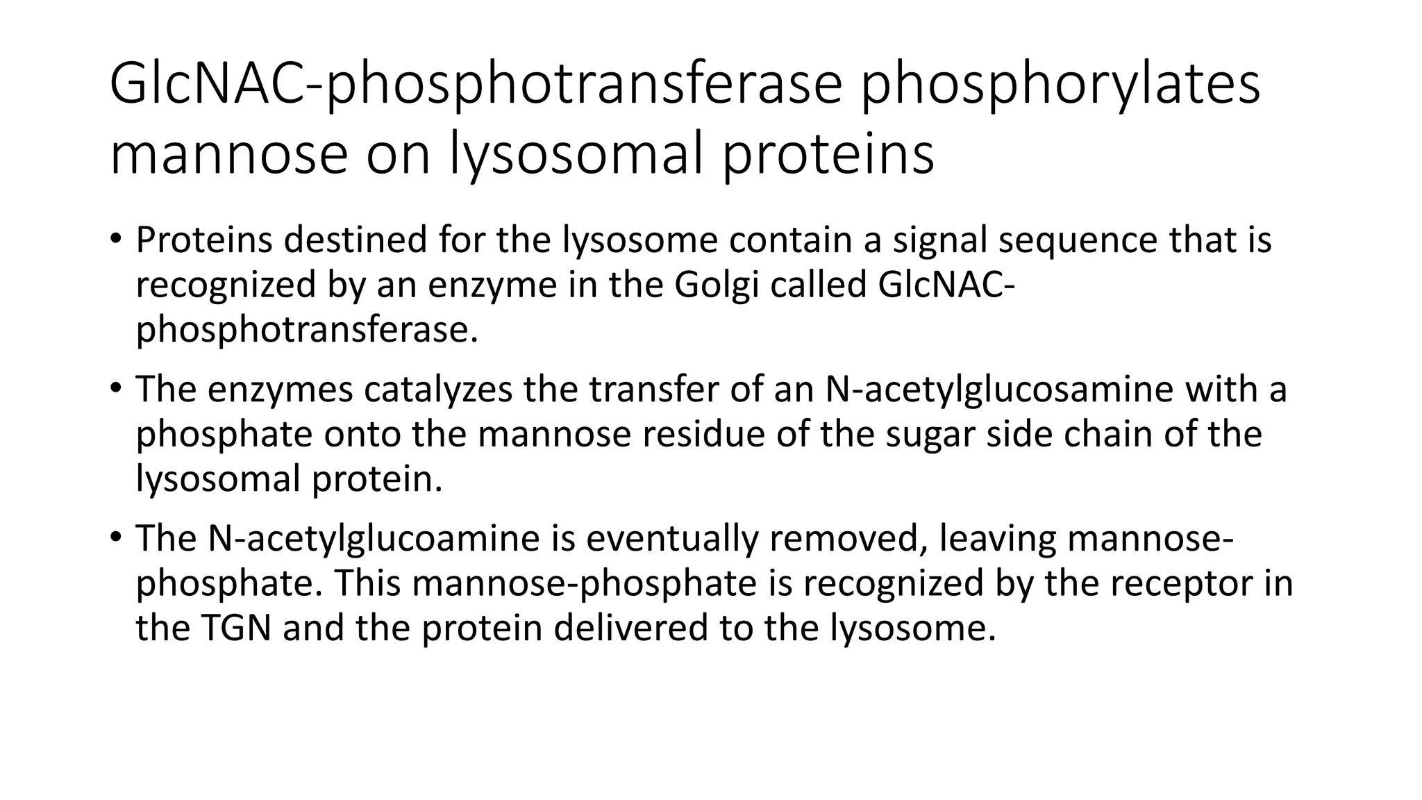 COPI and COPII Secretery pathways.pptx
