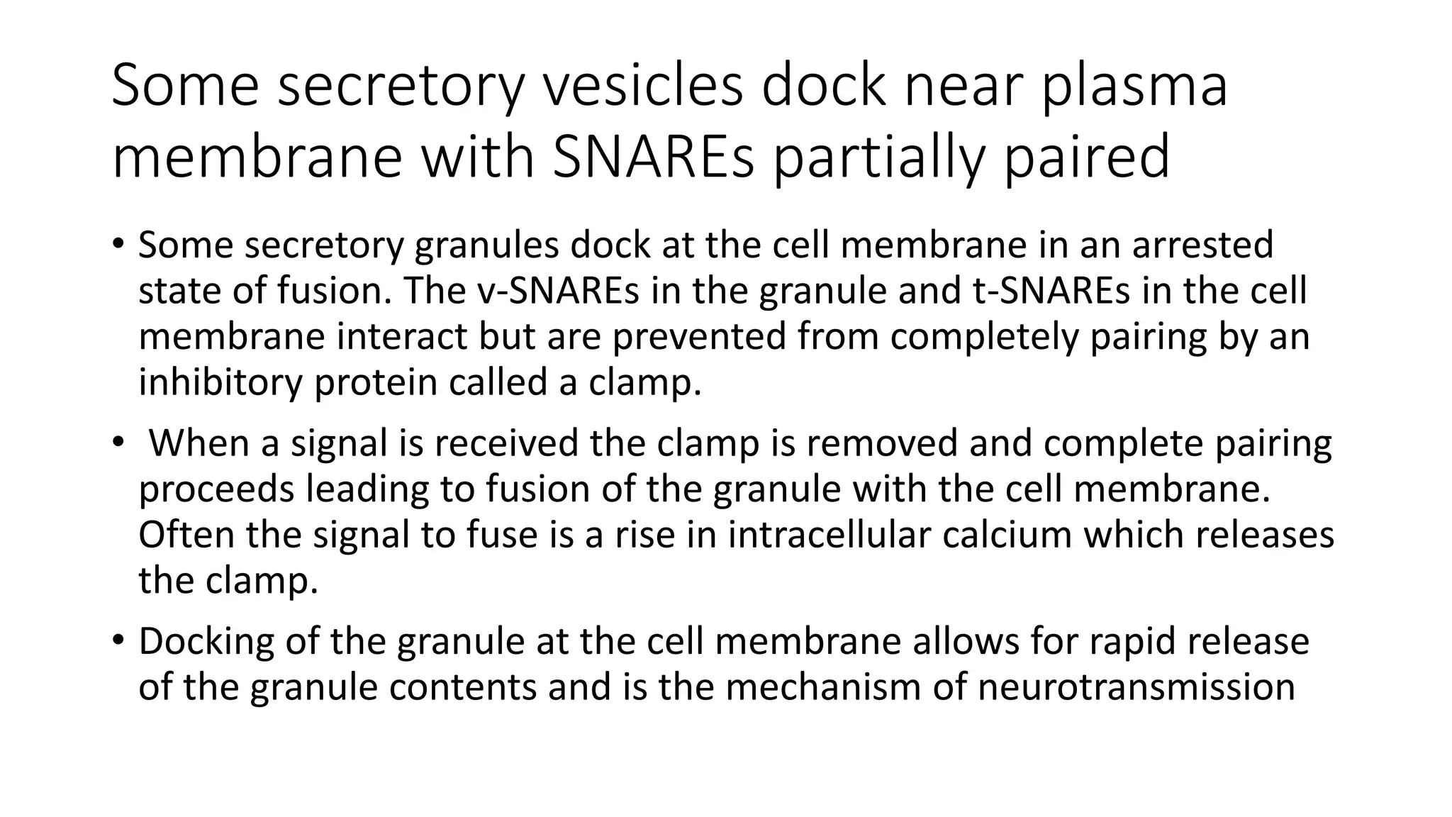 COPI and COPII Secretery pathways.pptx