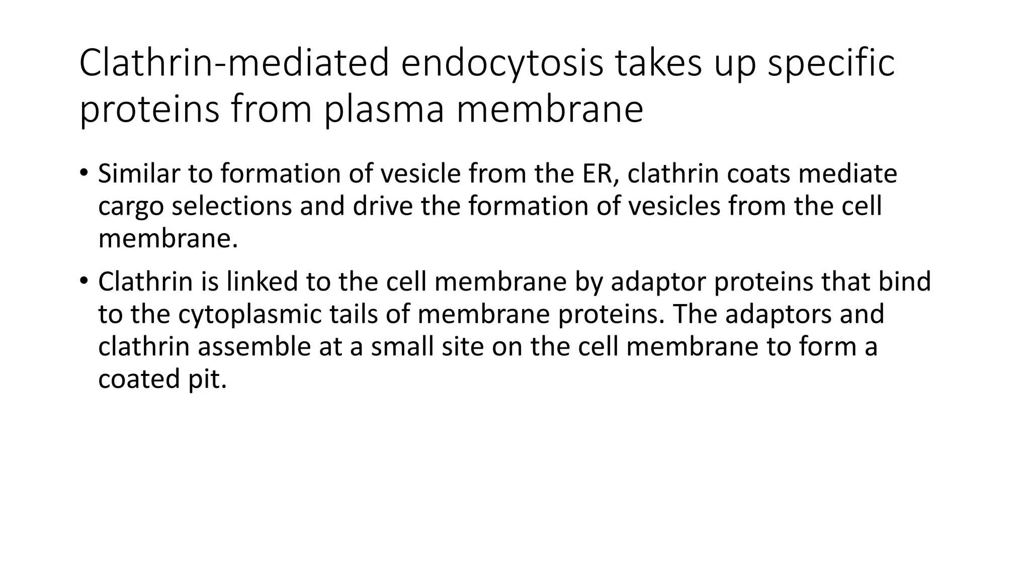 COPI and COPII Secretery pathways.pptx