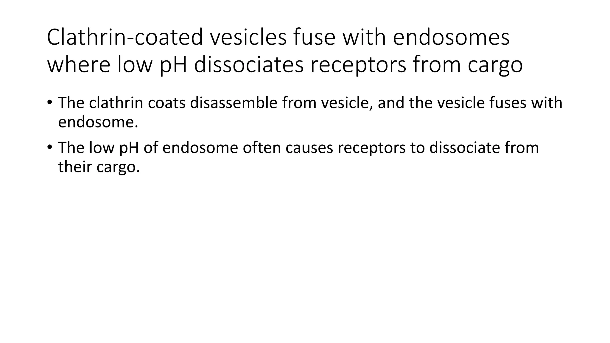 COPI and COPII Secretery pathways.pptx