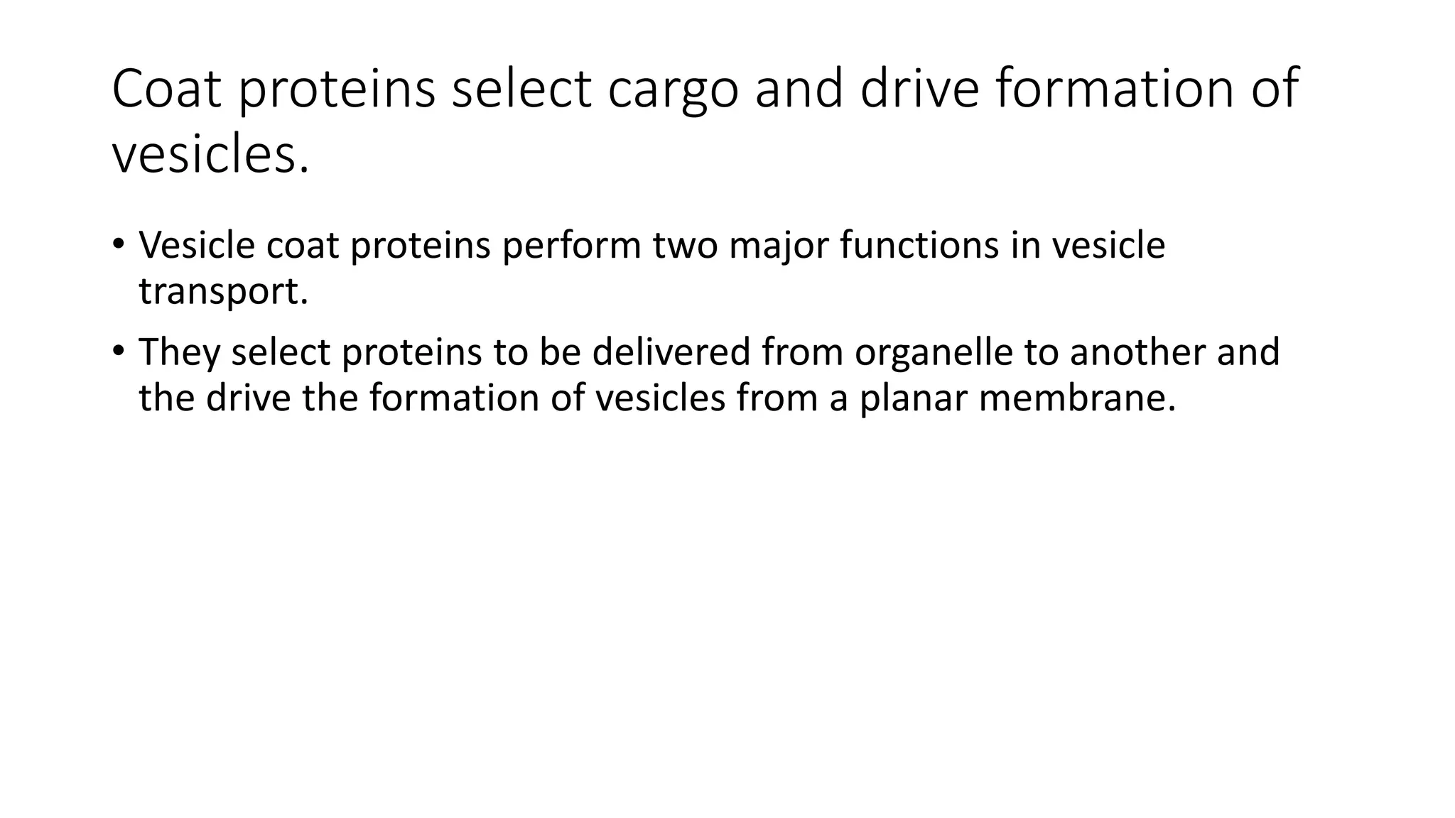 COPI and COPII Secretery pathways.pptx