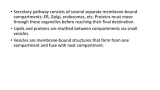 COPI and COPII Secretery pathways.pptx