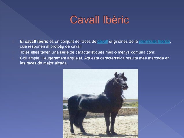 Els cavalls | PPT
