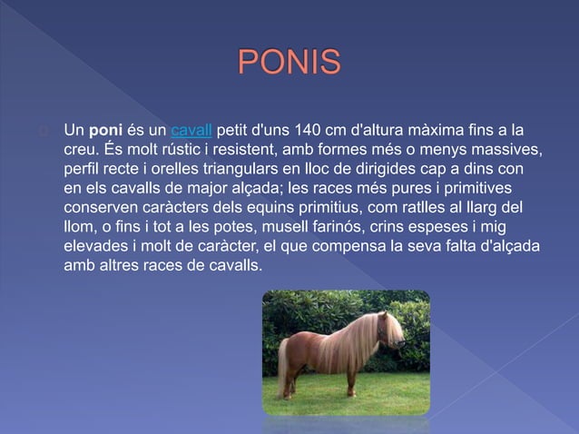 Els cavalls | PPT
