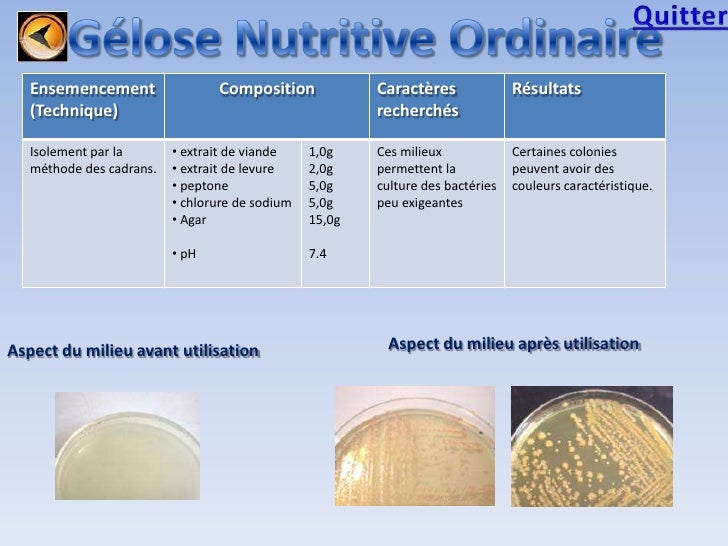 Copie De Fiches Milieux De Culture